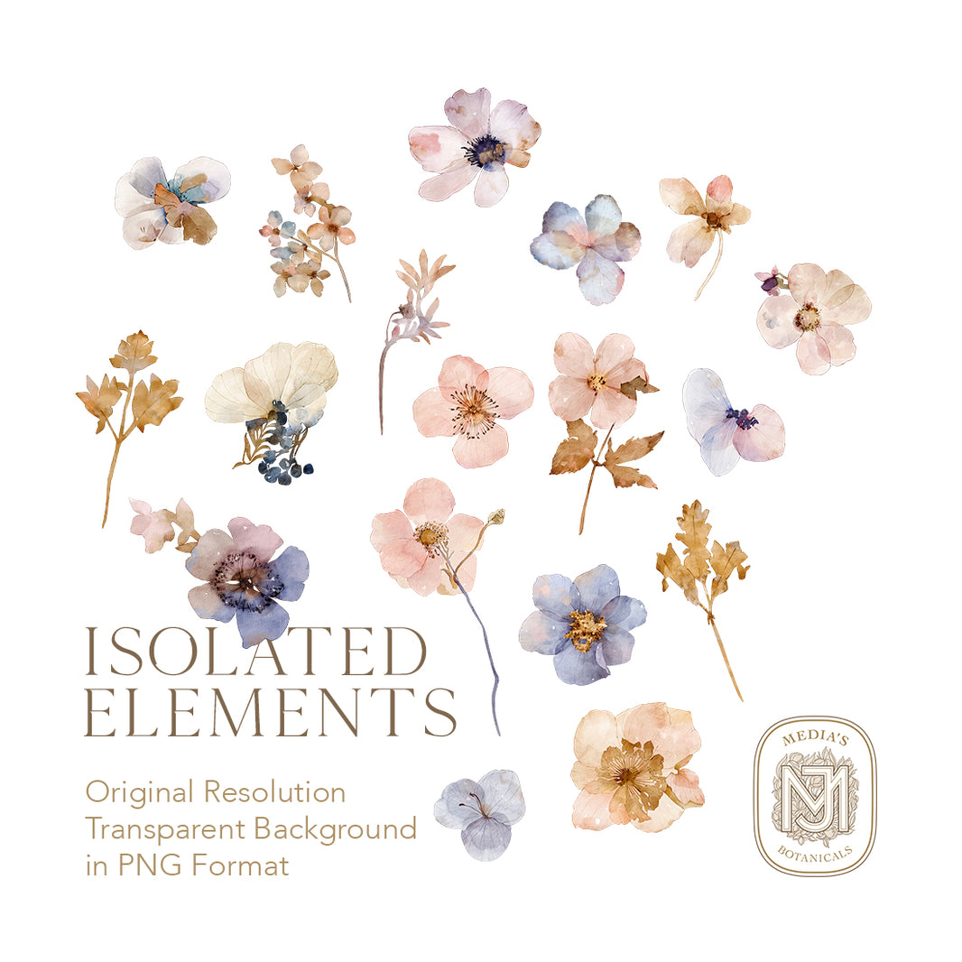 Pressed Flowers Seamless Pattern - 117 – Media Jamshidi