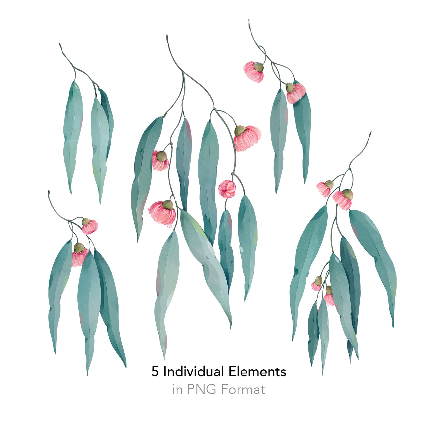 Australian Flowering Gum Seamless Pattern - 076 – Media Jamshidi